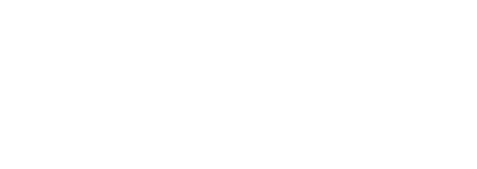 TSB Go Application – Thai smile Group